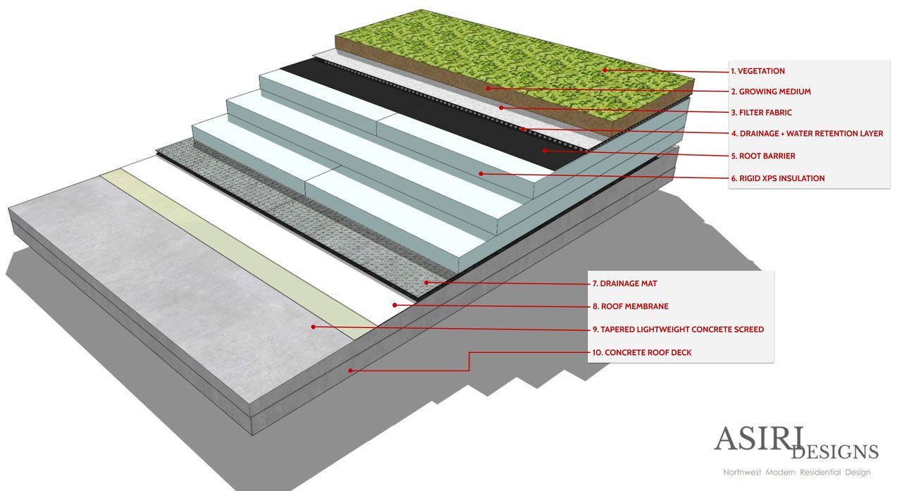 Layers of a Green Roof Assembly