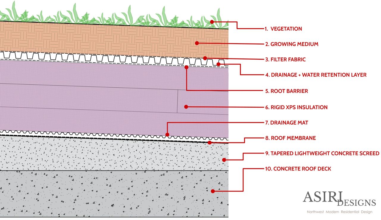 Layers of a Green Roof Assembly