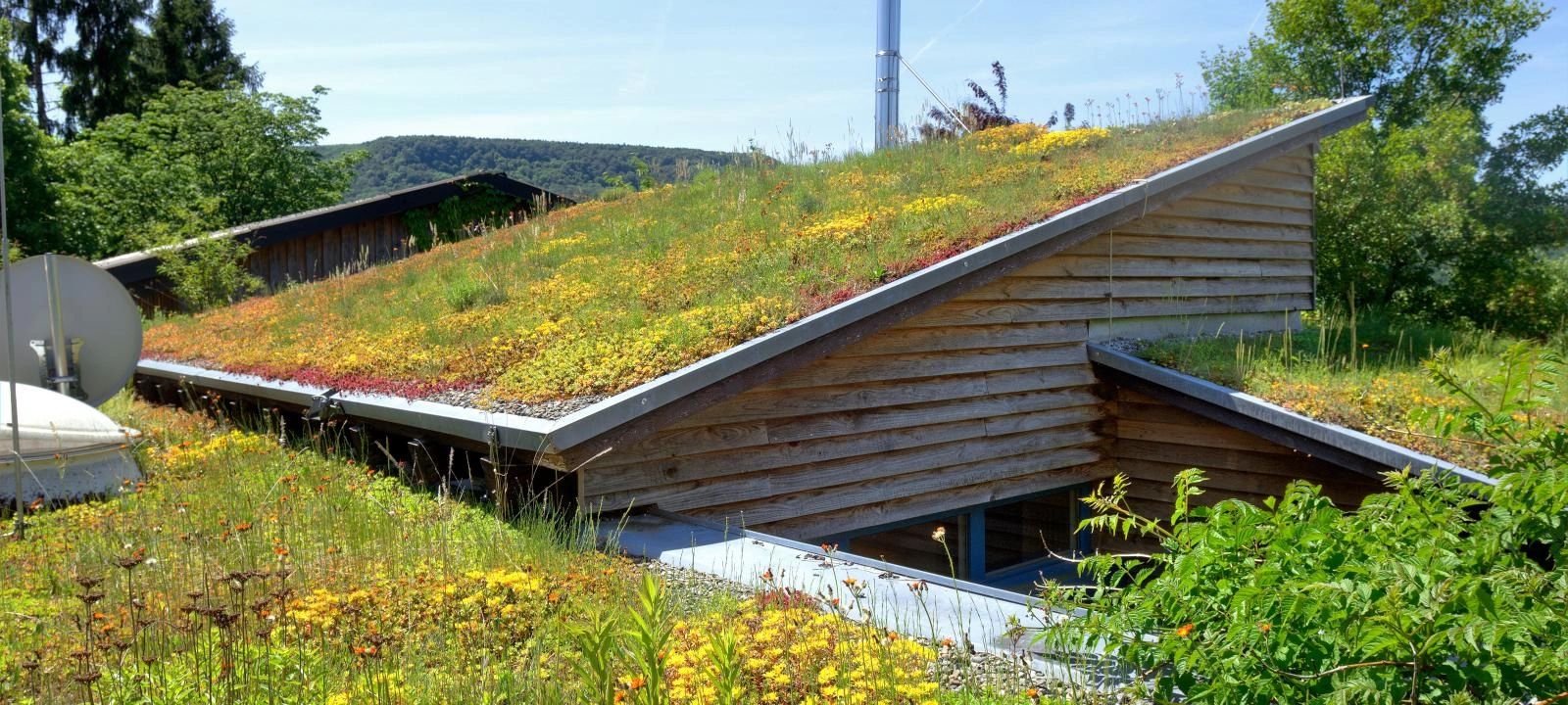 Understanding Residential Green Roofs