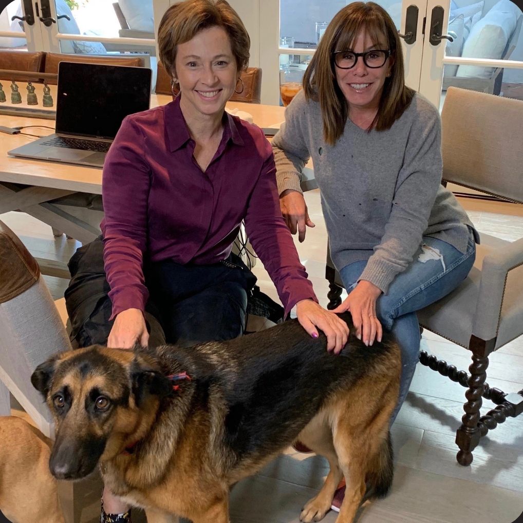 Animal Communicator | Talking With The Dogs