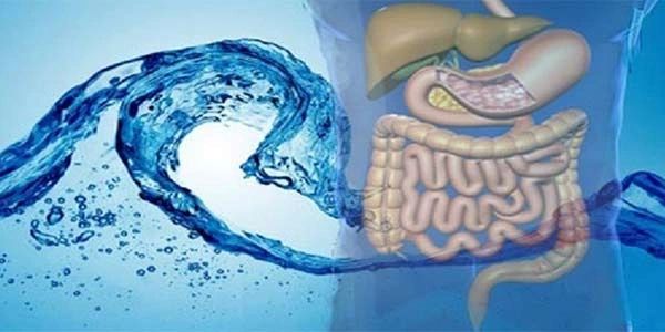 Colon Hydro Therapy Consultation & Session