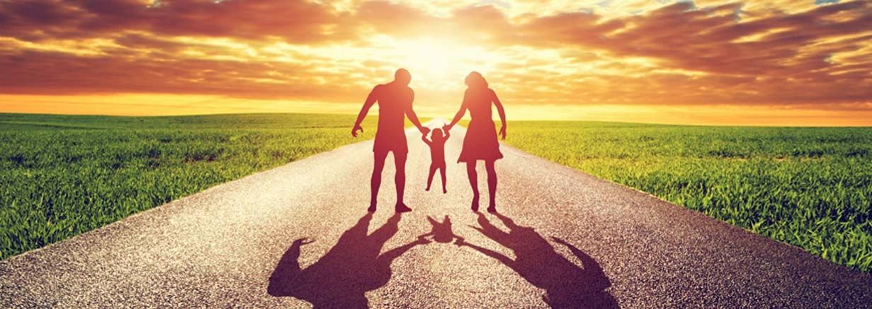 The Dragon - Health and Life Insurance