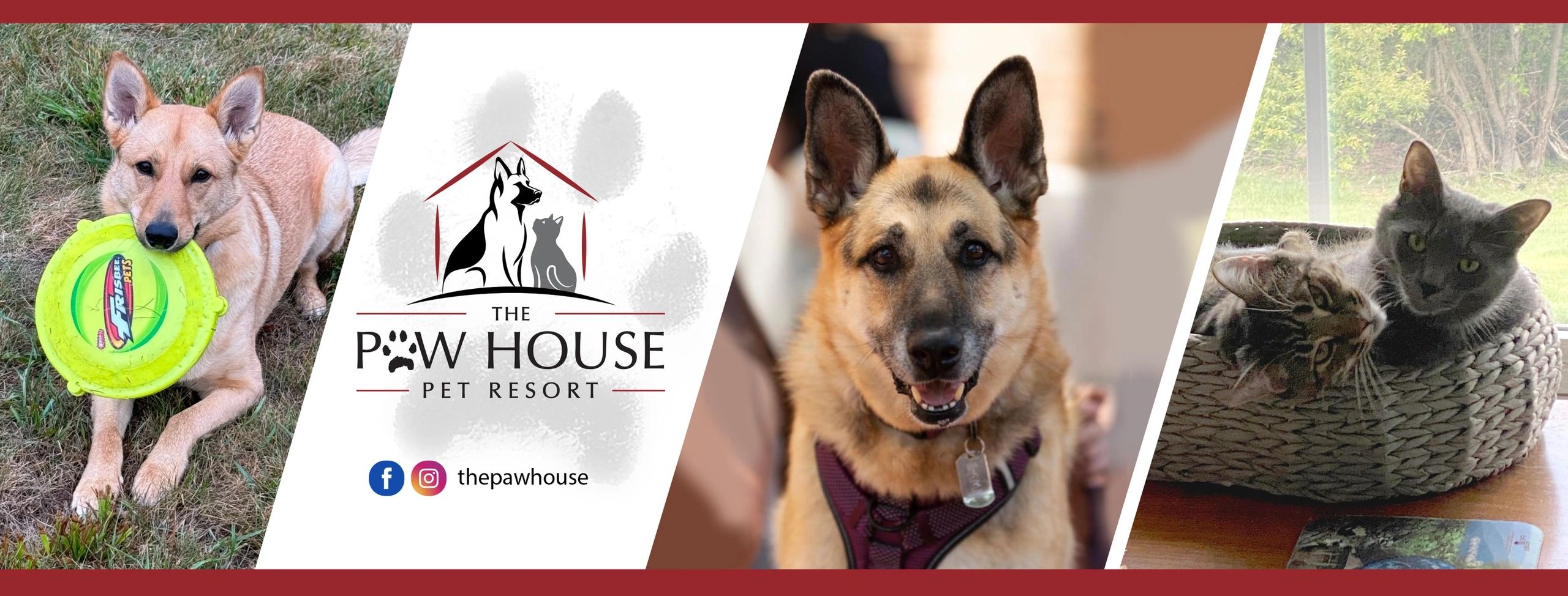The Paw House Pet Resort