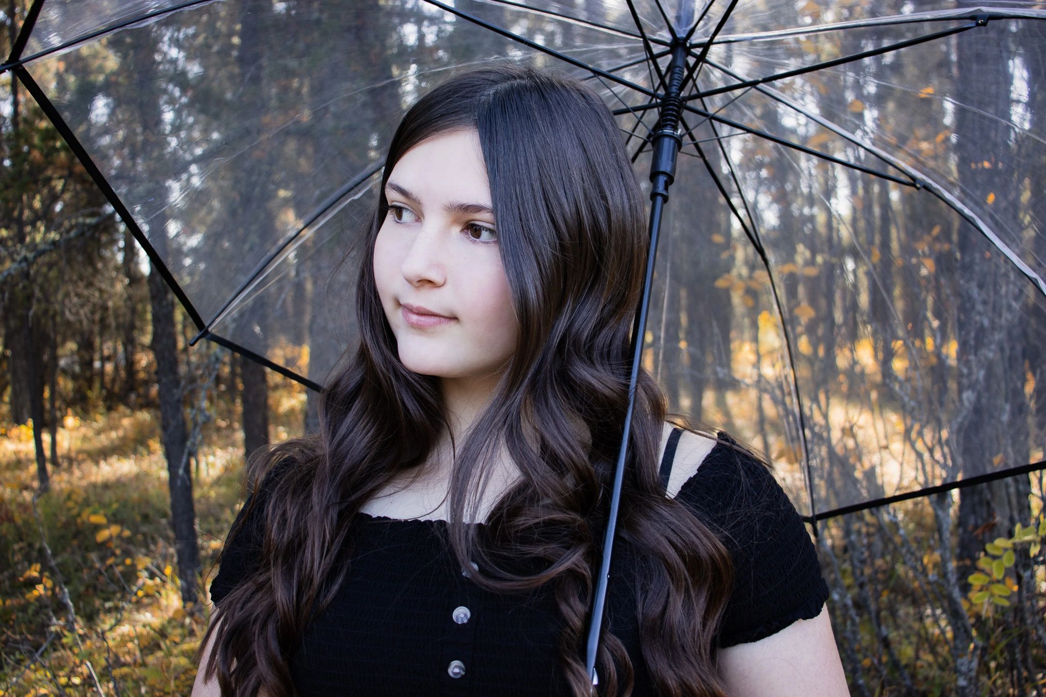 The Olson Family | Sparrow Acres