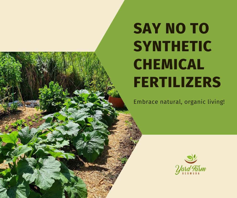 5 Reasons to Ditch Synthetic Chemical Fertilizers