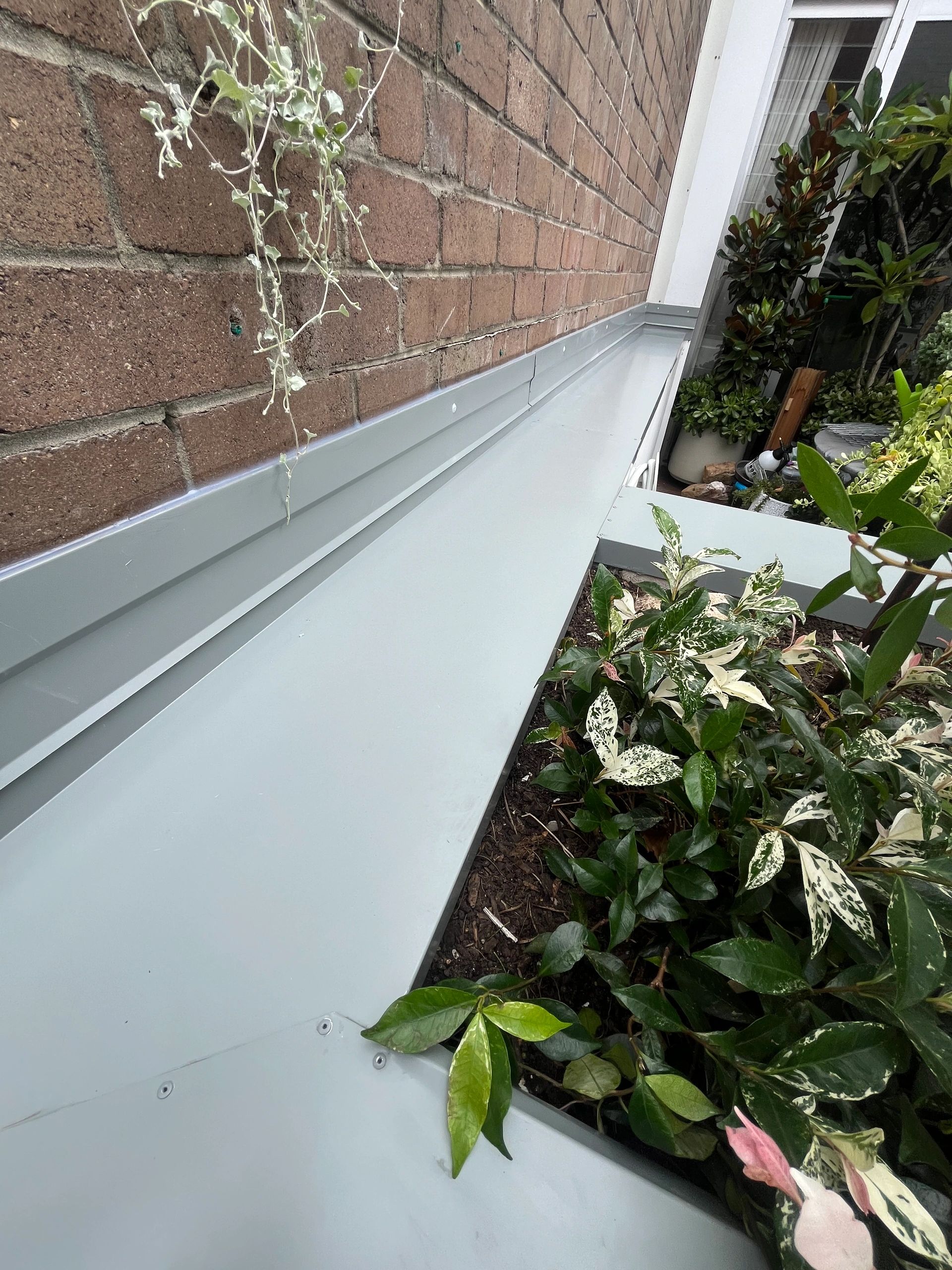 Surry Hills: Parapet Wall Capping