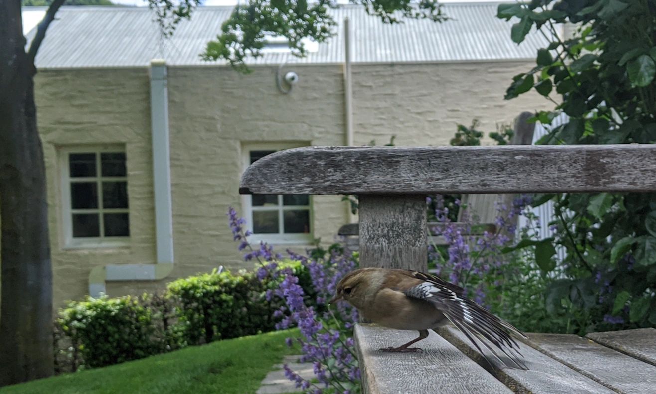 Contact Us - Sparrow Roofing