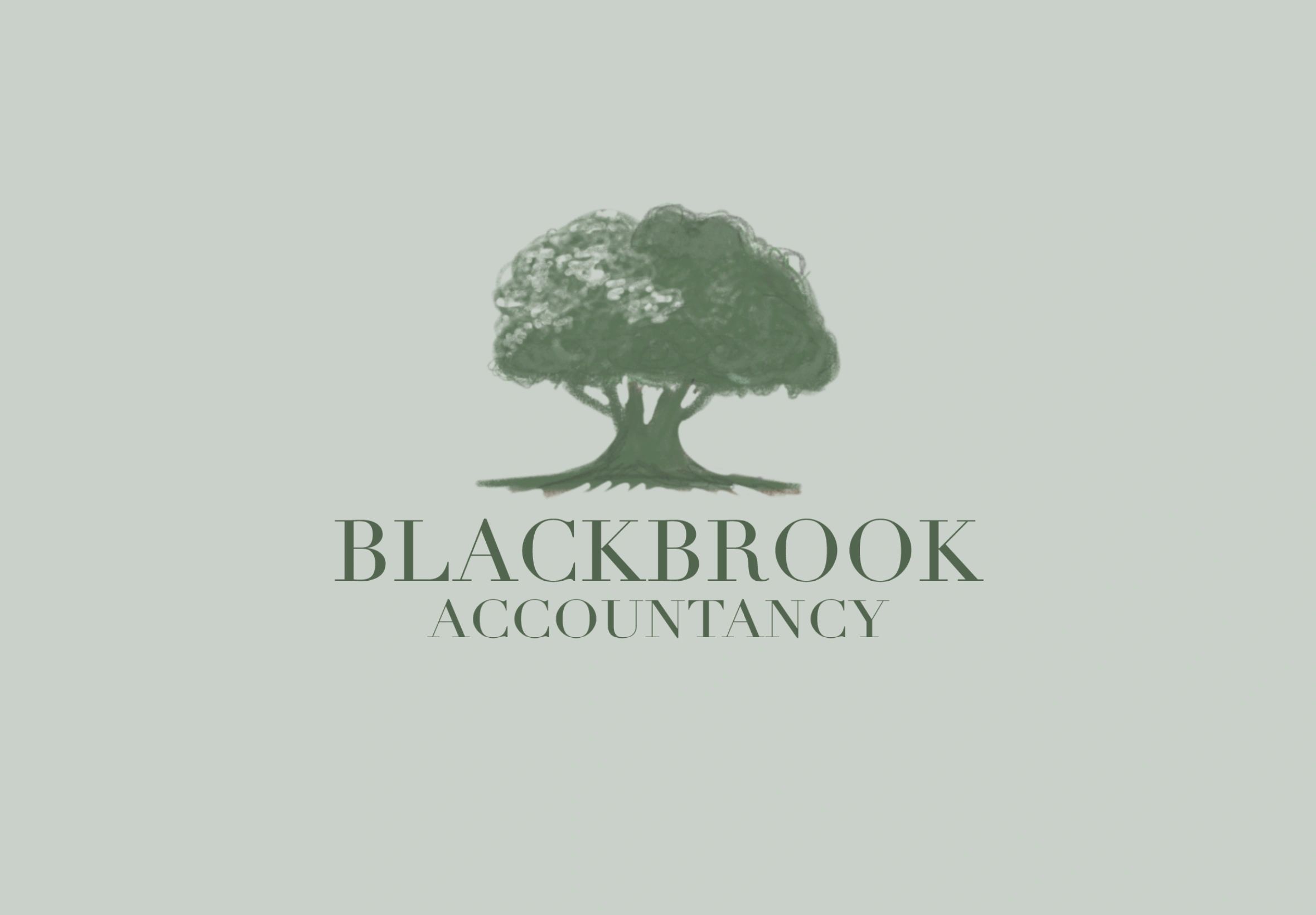 Blackbrook Accountancy Website