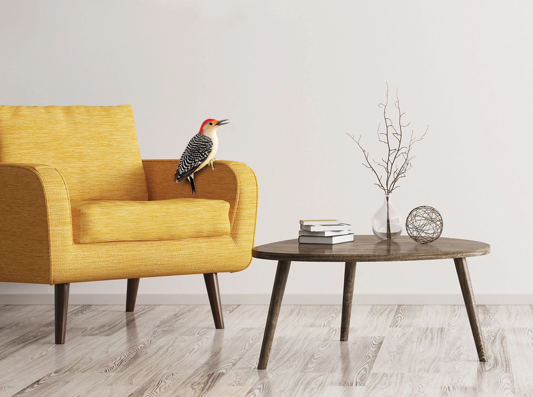 Woodpecker Interior Design - Interior Design, Interior Decorating ...