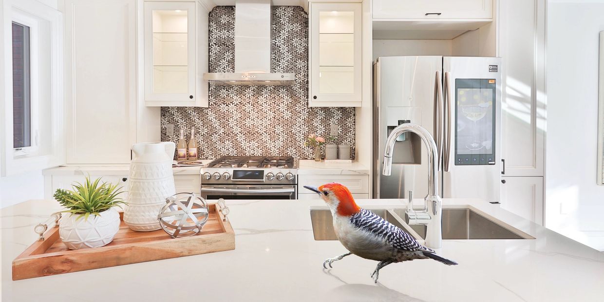 Woodpecker Interior Design - Interior Design, Interior Decorating ...