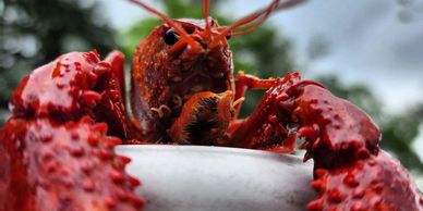 Compadre Cookers Tex-Mex BBQ - Bbq, Catering, Food Truck