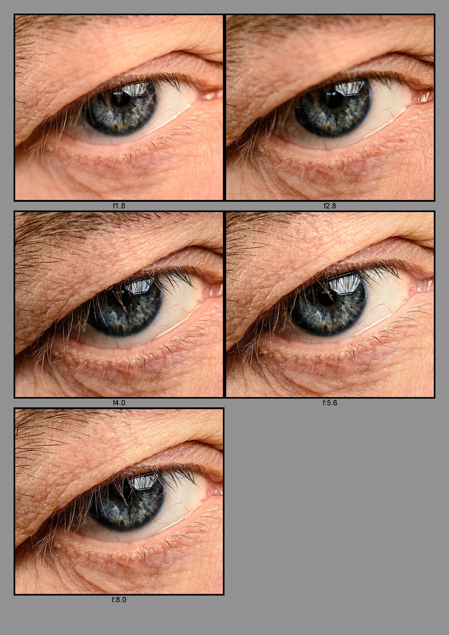 Z9 firmware v2.1 - growing evidence is that the Z9 is better