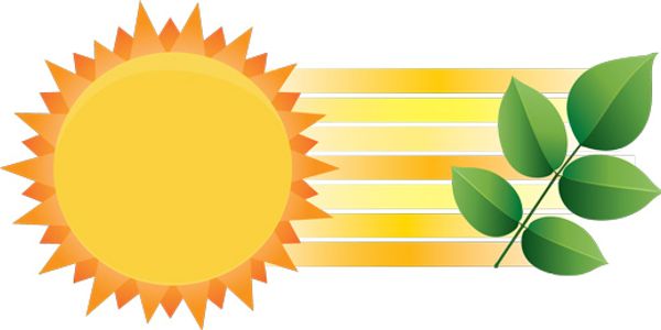 LightStim LED Anti-Age