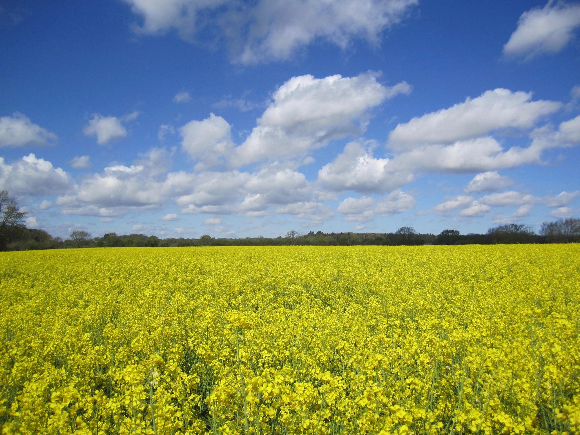 About Us | Farm Foresight