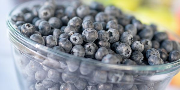 NuBerry Farms, LLC
