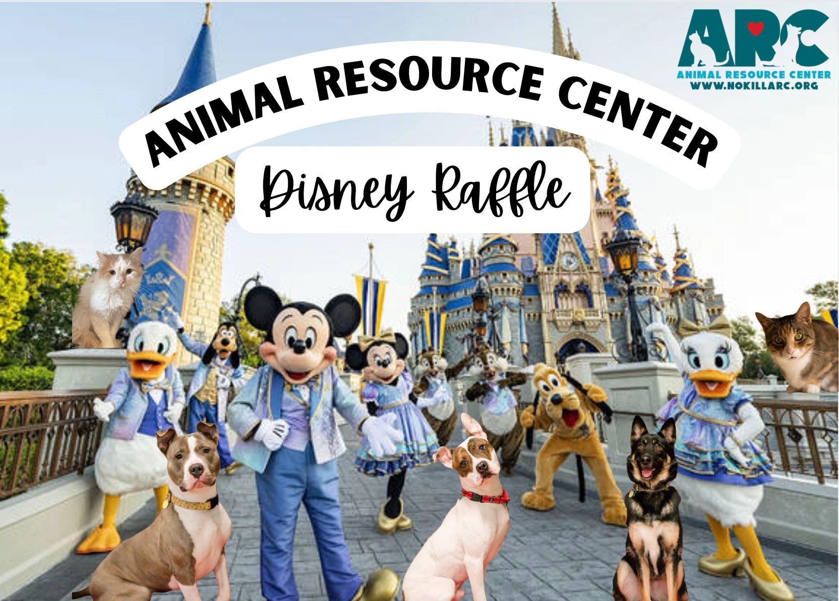 Animal Resource Center - Adopt a Pet - Bloomsburg, Pennsylvania