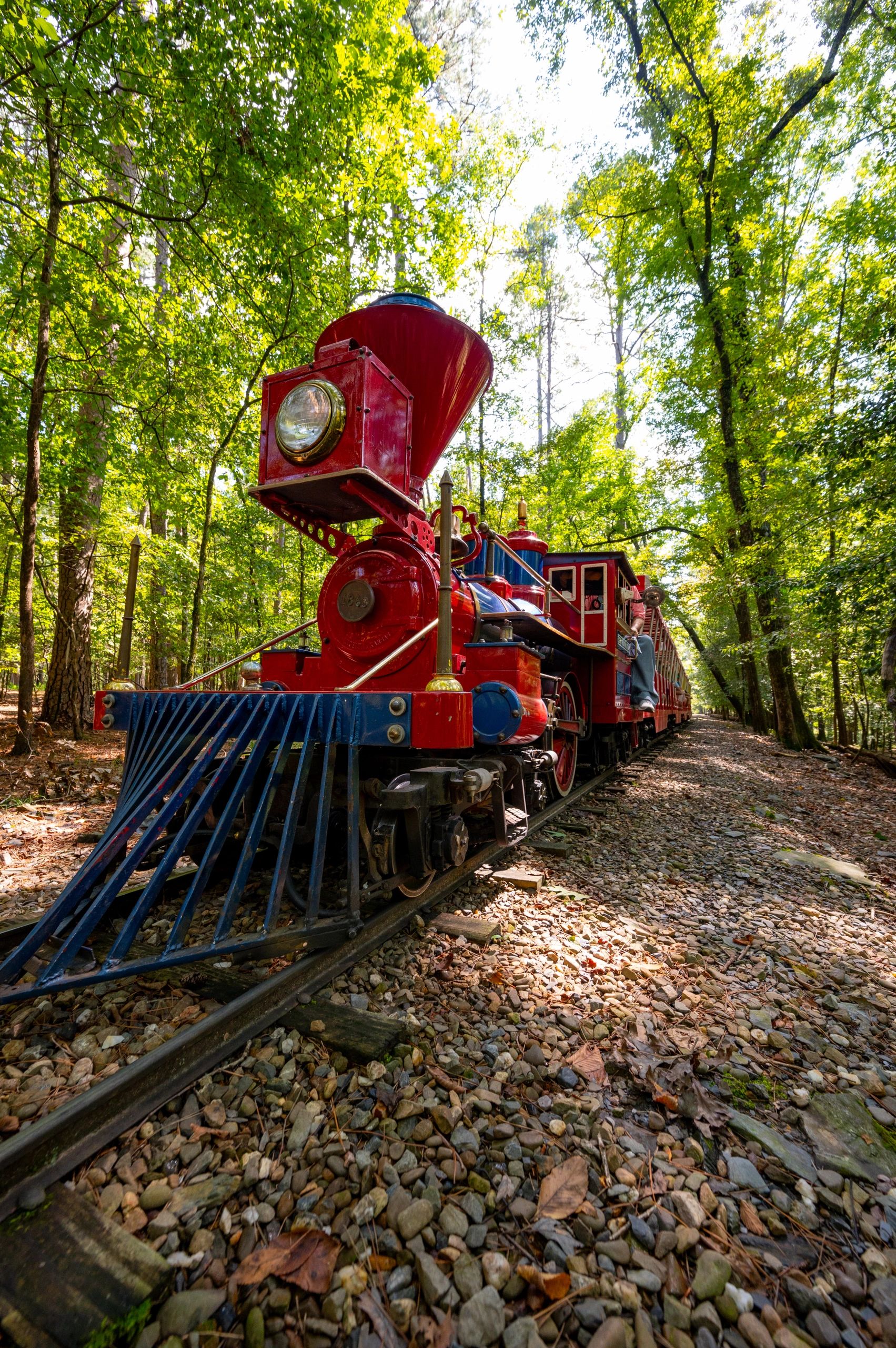 Explore Beavers Bend State Park Horseback Riding and Train Ride