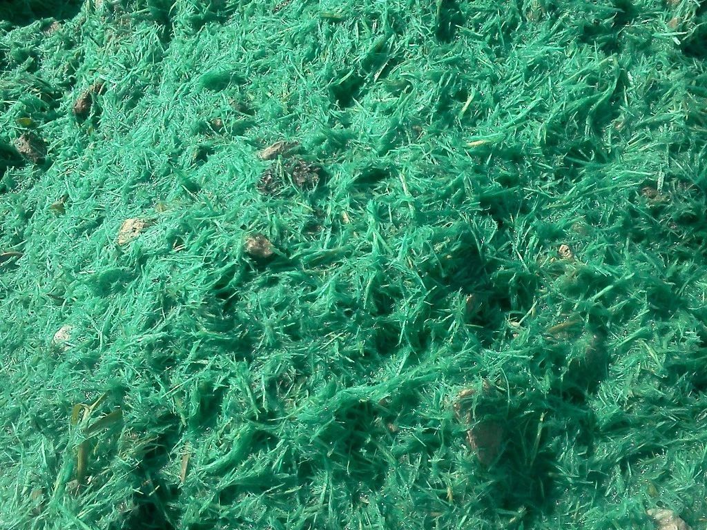 Hydroseed Mulch