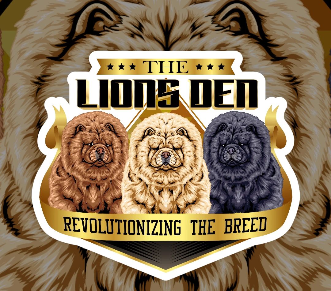 Mini Chow - The Lions Den