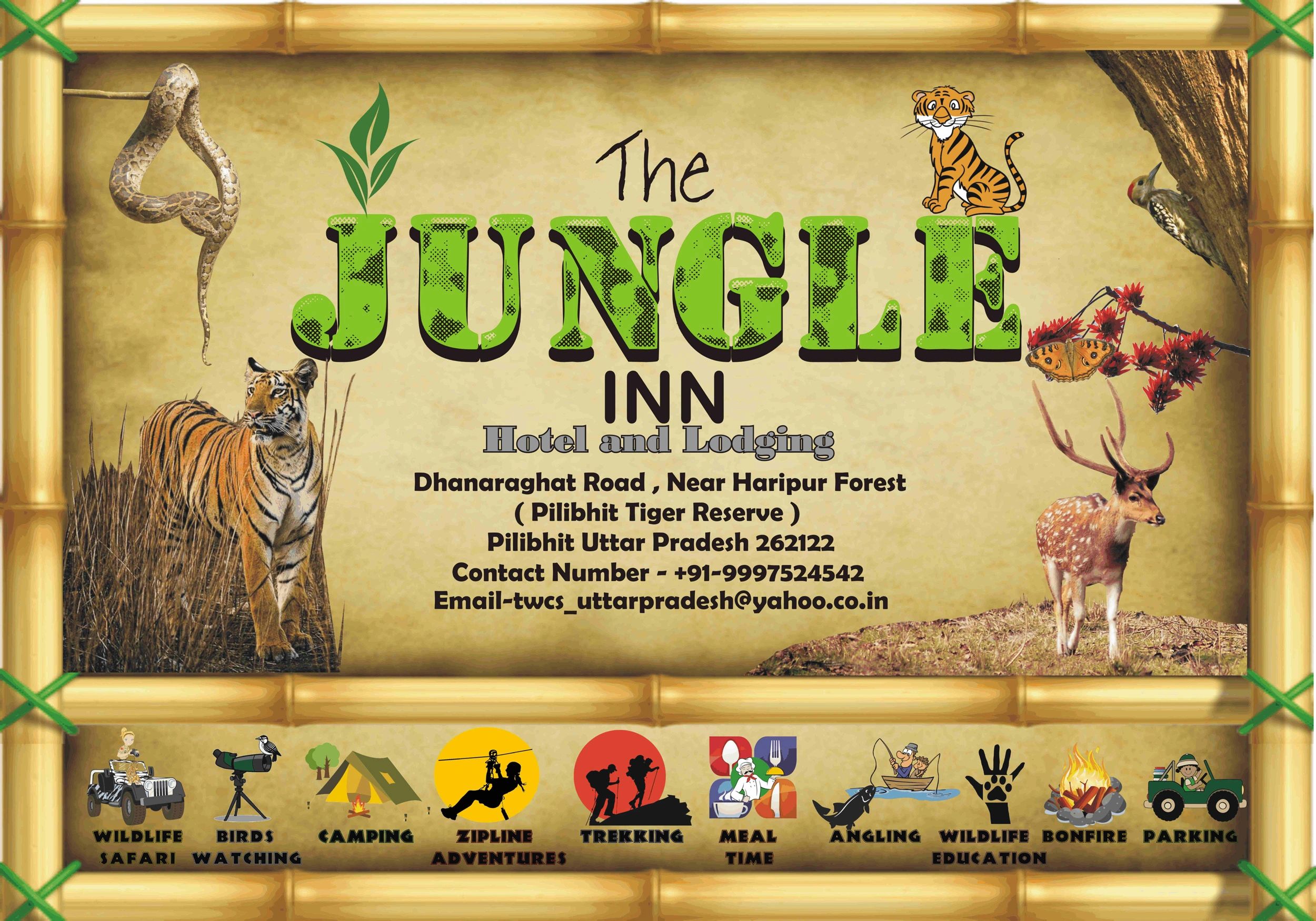 The Jungle Inn