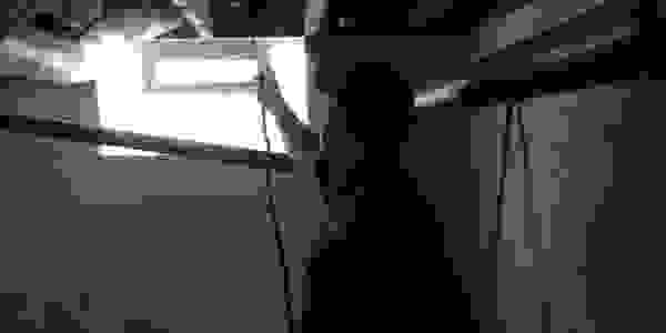 Express Pest Control Cleveland