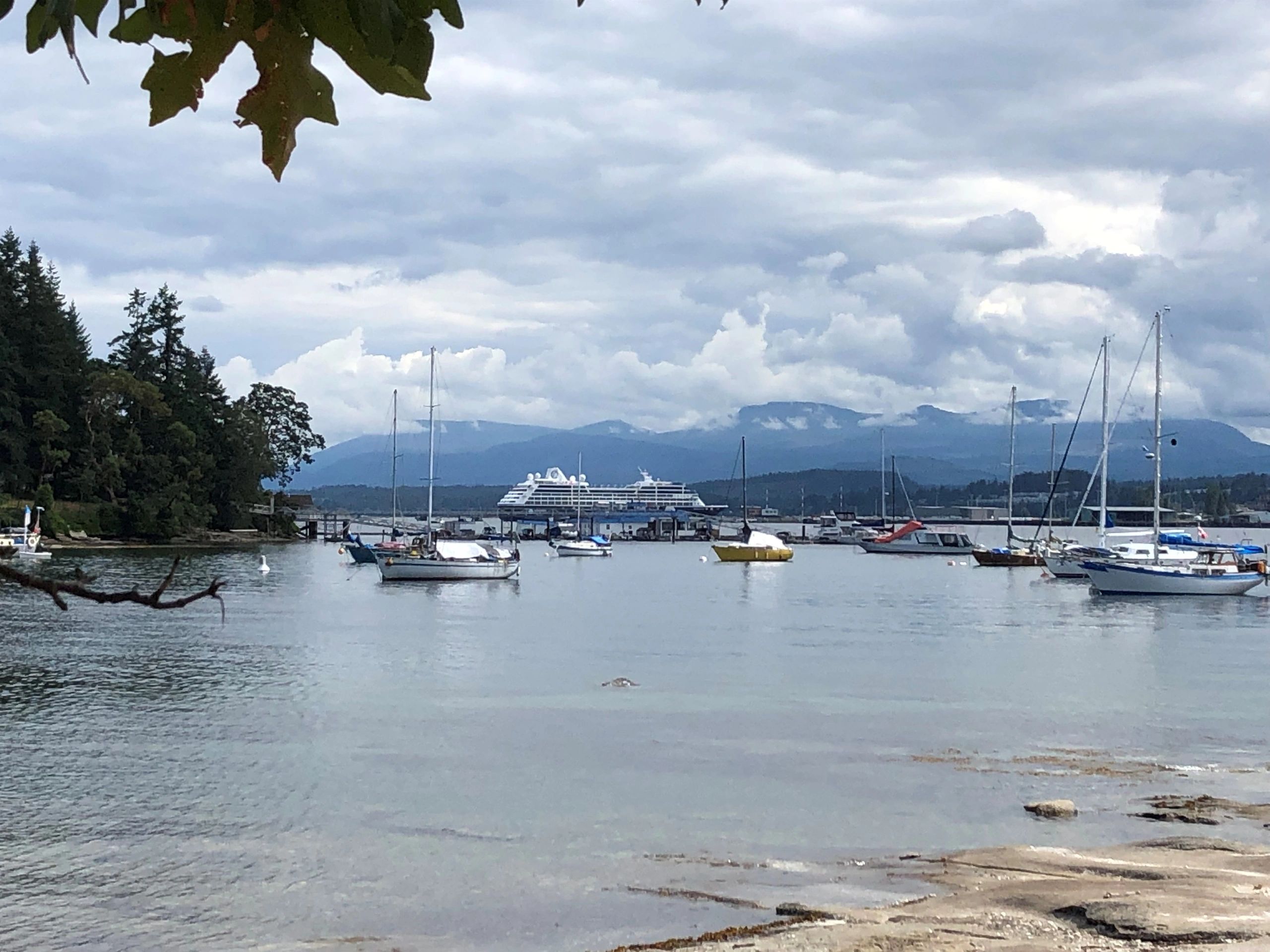 Nanaimo Newcomers' Club