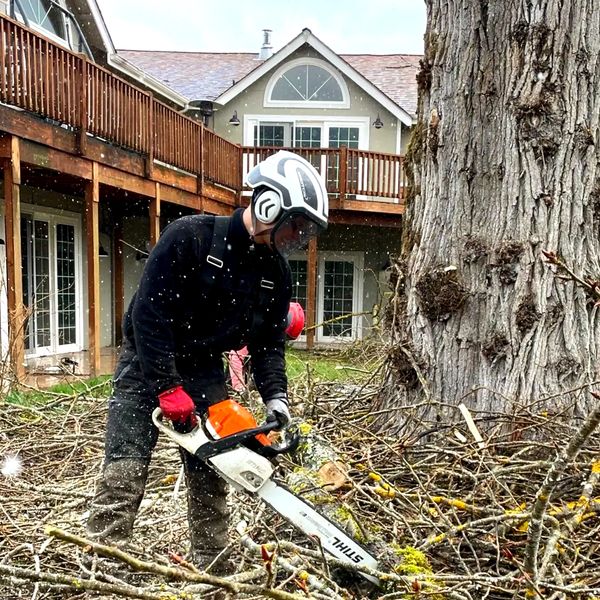 Emergency Tree Removal - Pacific Tree Solutions