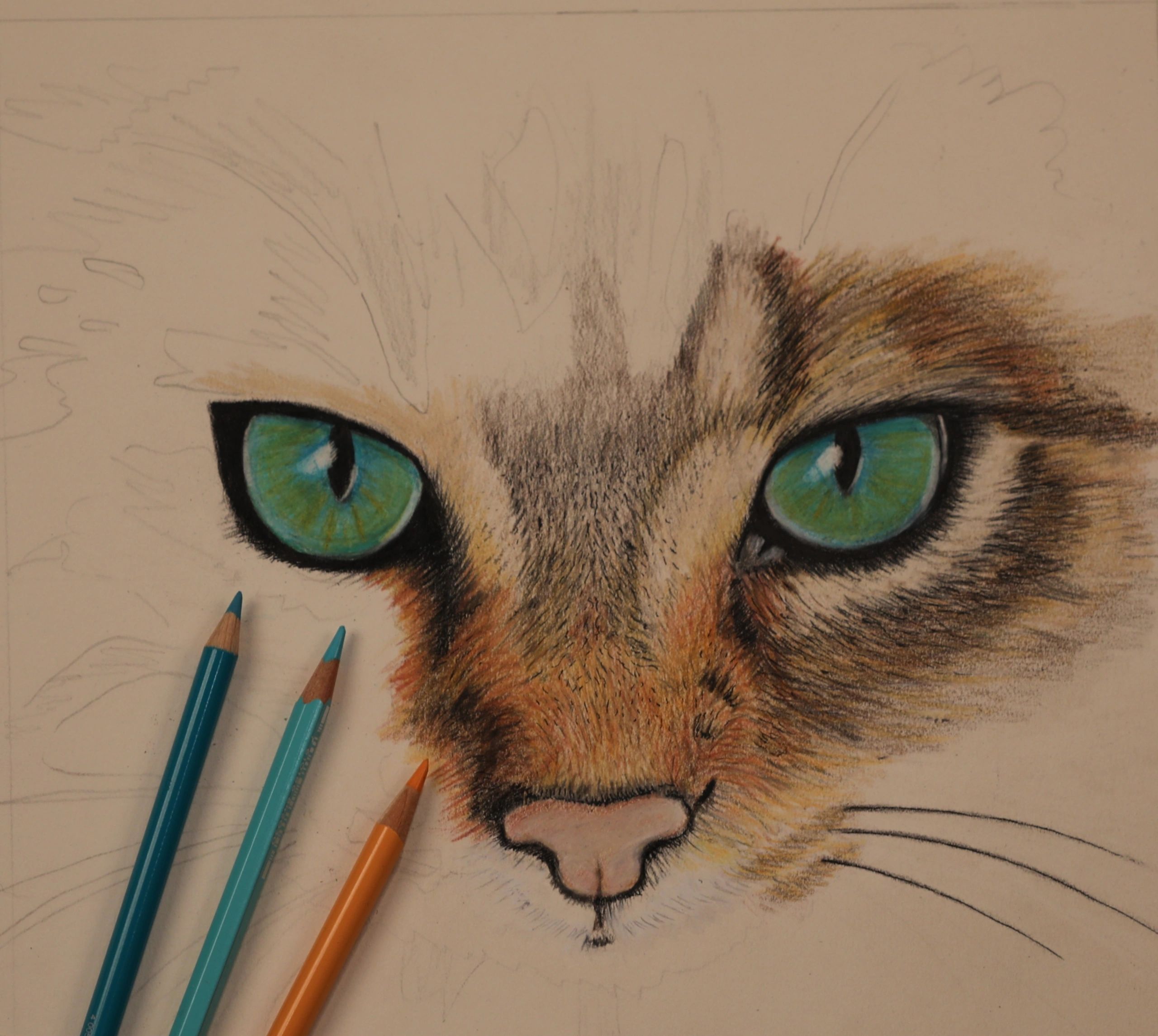 Hand Drawn Pet Portraits - Pet Portraits & more by Betsy