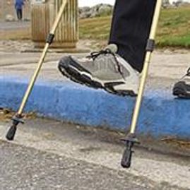 Poles for Mobility - Balance, Parkinson's Disease, Health | Poles for ...