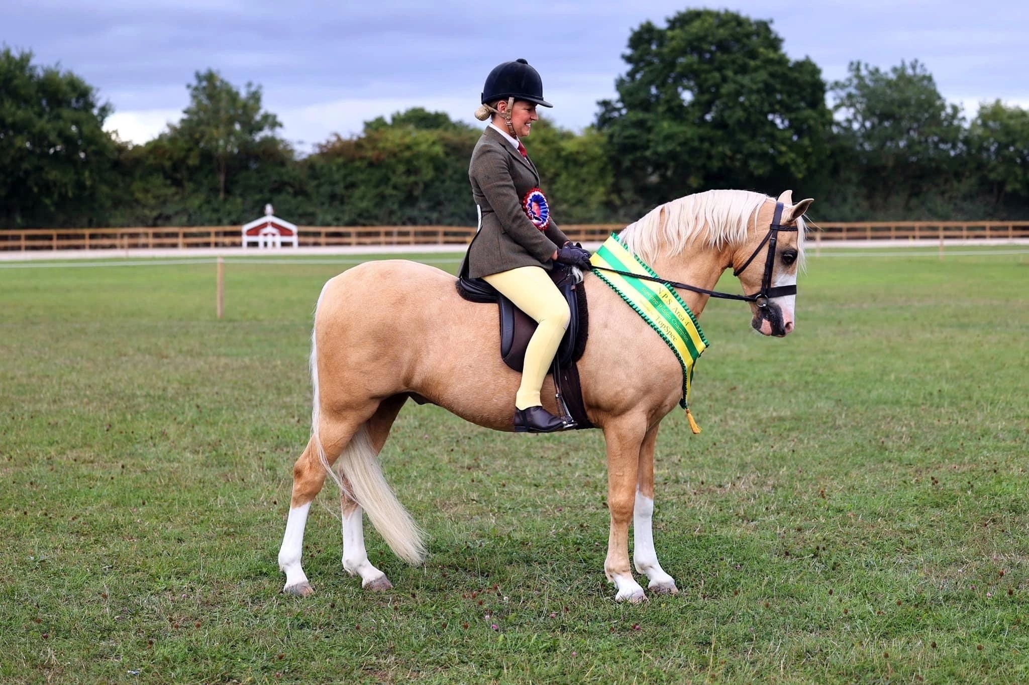 NPS Area 4 - Horse Show, Horse Event