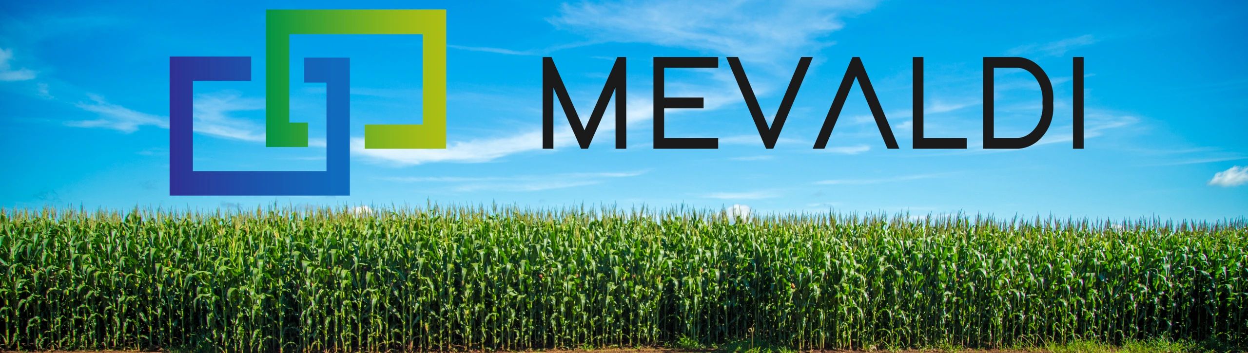 Mevaldi bio-based chemicals - Voorpagina