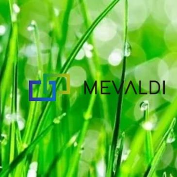 Mevaldi bio-based chemicals