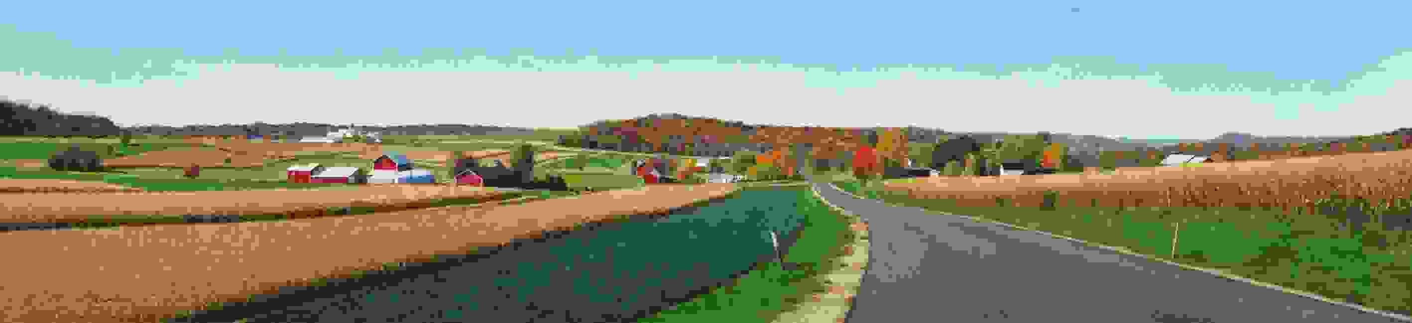 Originals | Paintings by Steven Kozar