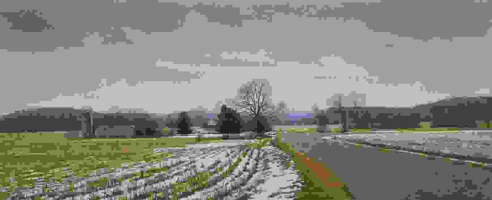 Originals | Paintings by Steven Kozar