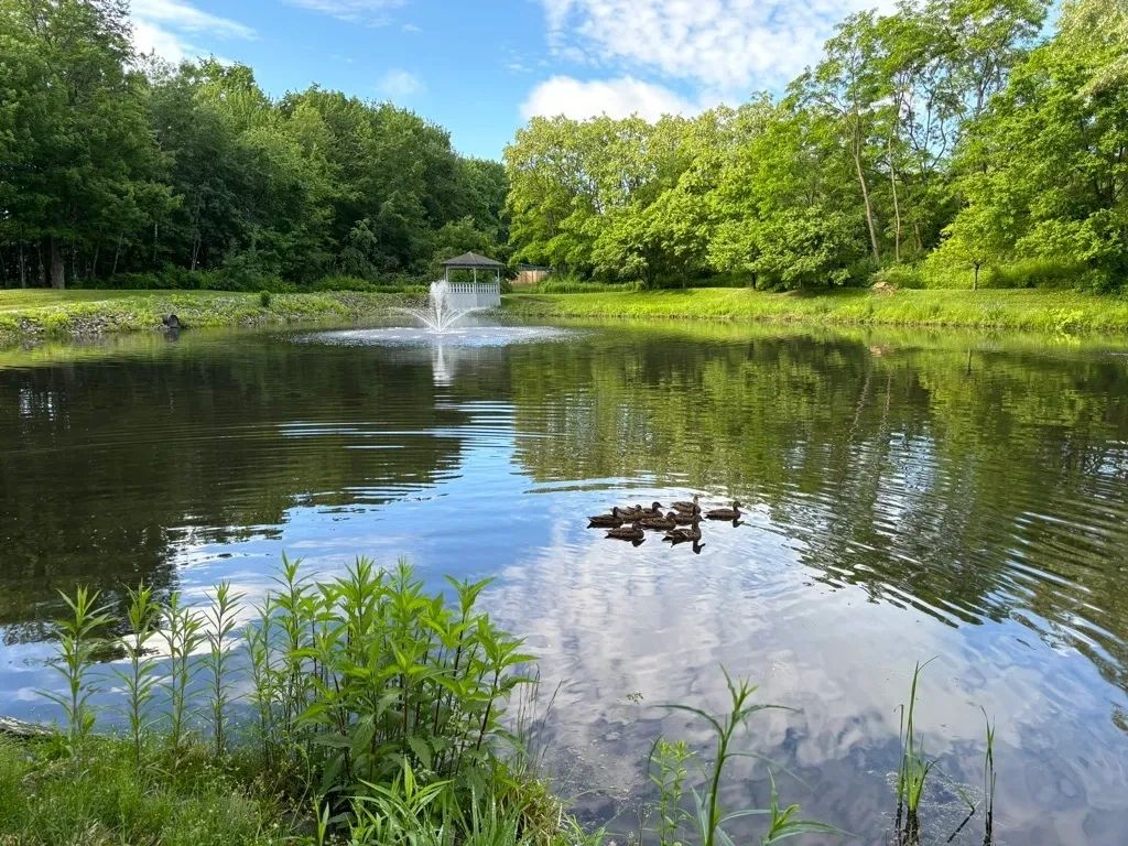 Parsons Pond Homeowners