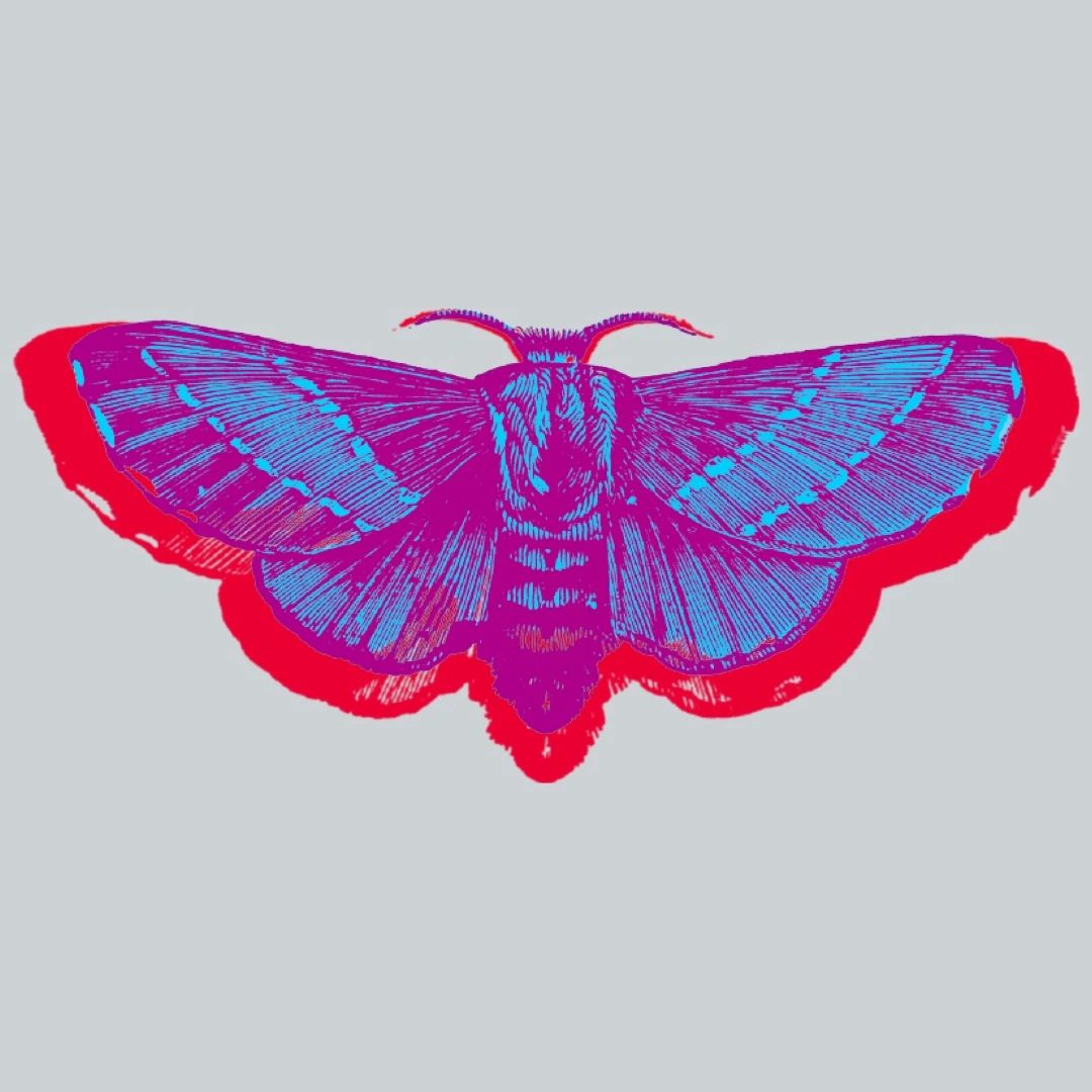 Ember Moth Design - Art and Design, Prints, Art