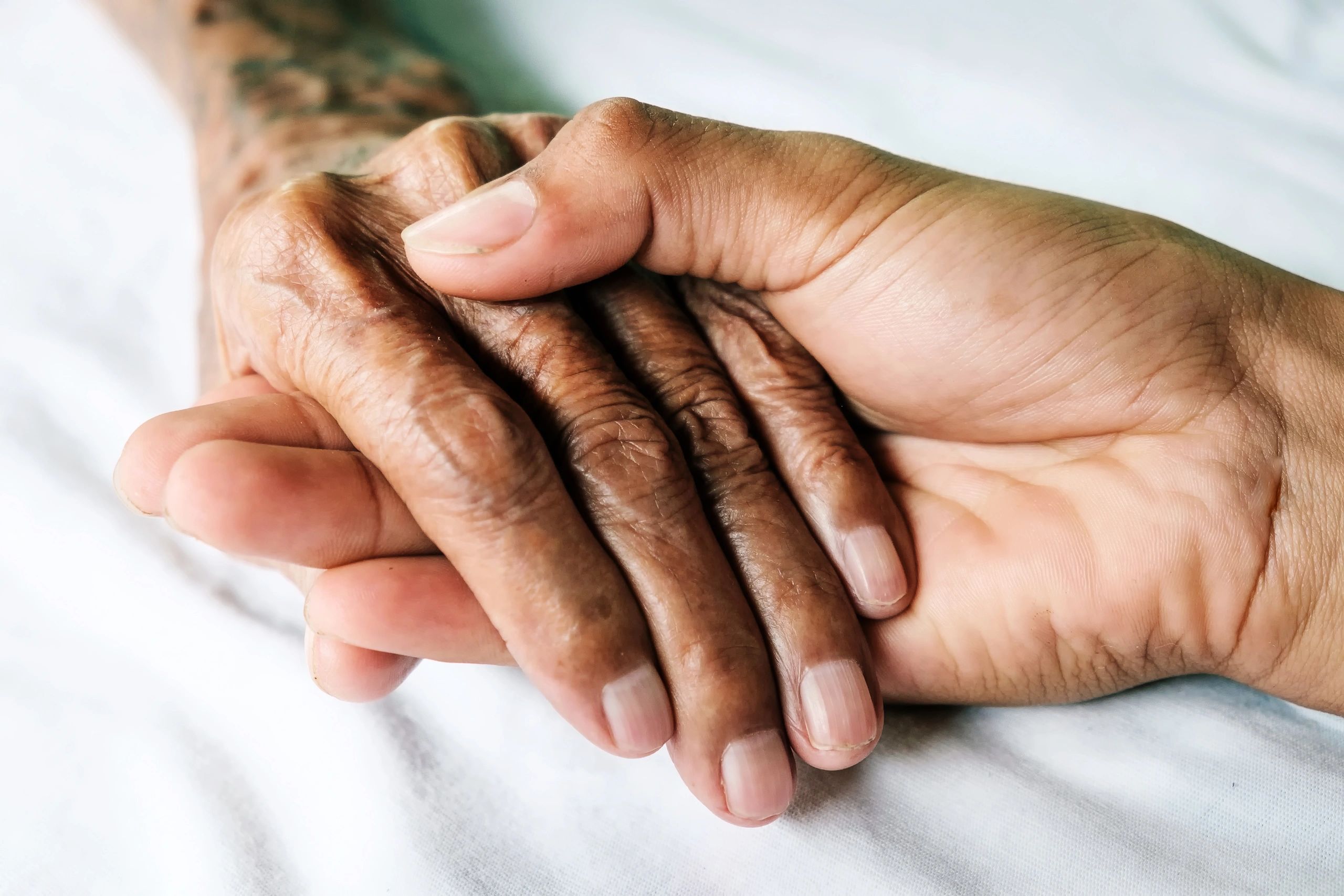 Understanding Skin Bruising in Seniors