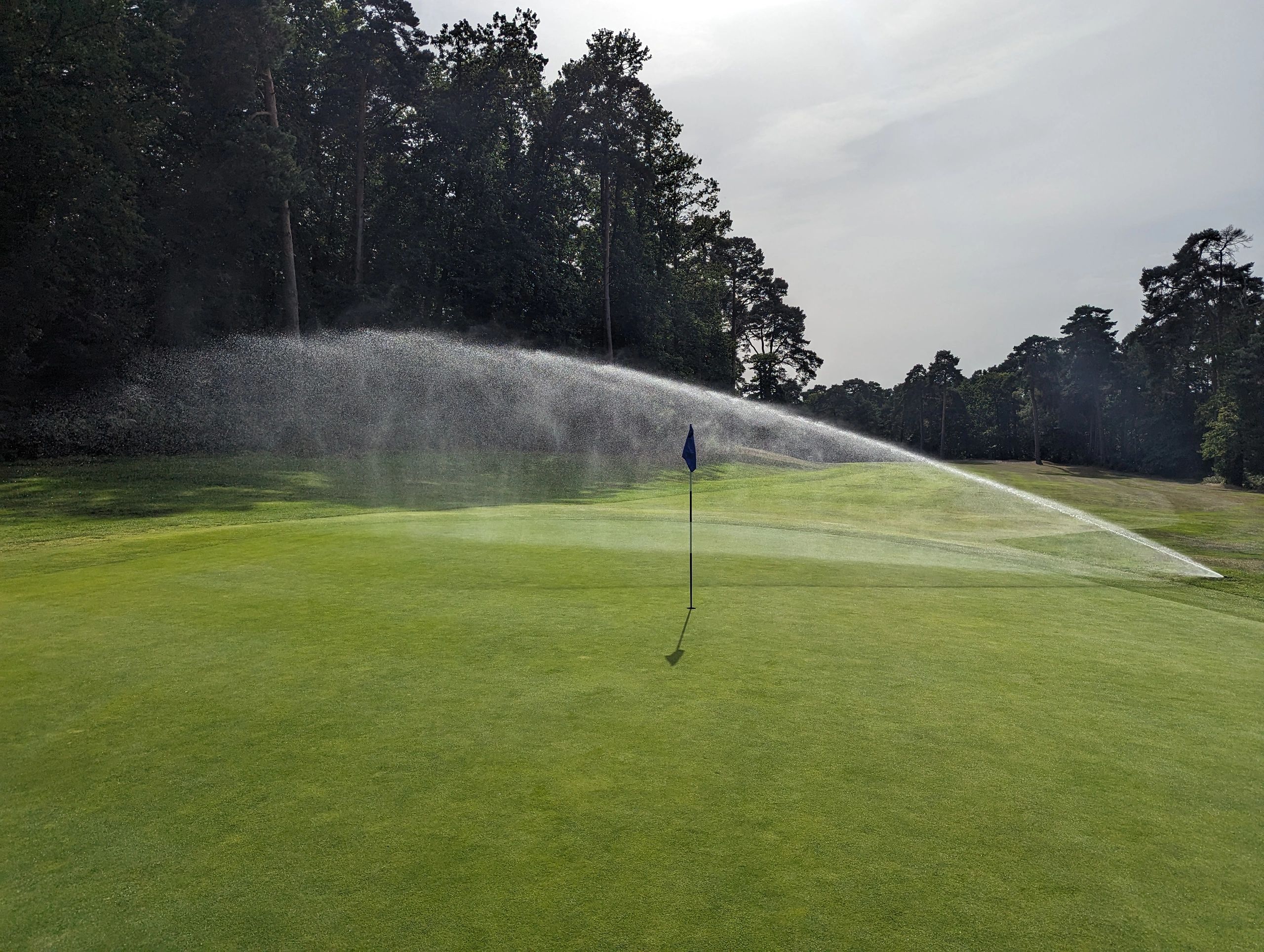 Irrigation Professionals Limited