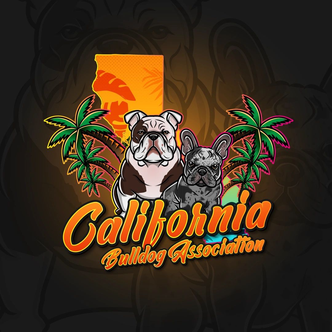 CBA - English Bulldog Puppies, Breeder, English Bulldog Puppies