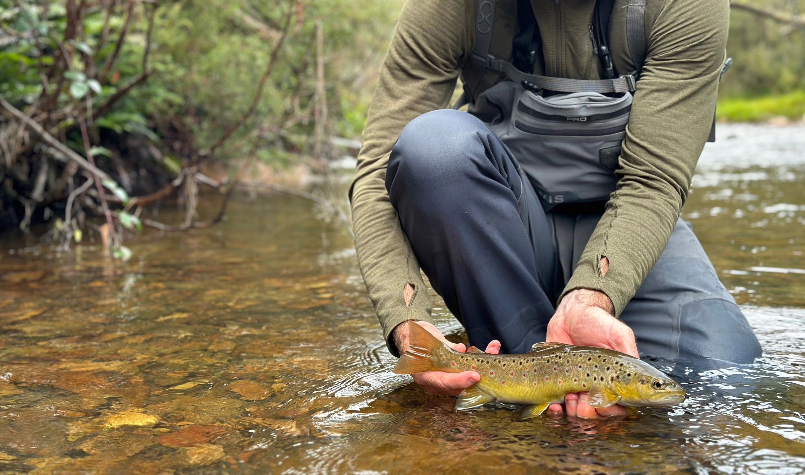 Trout Season Readiness: A Fly Angler's Checklist