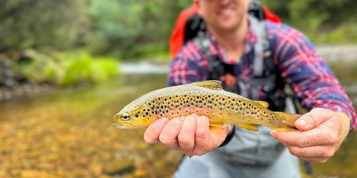 Jamieson River