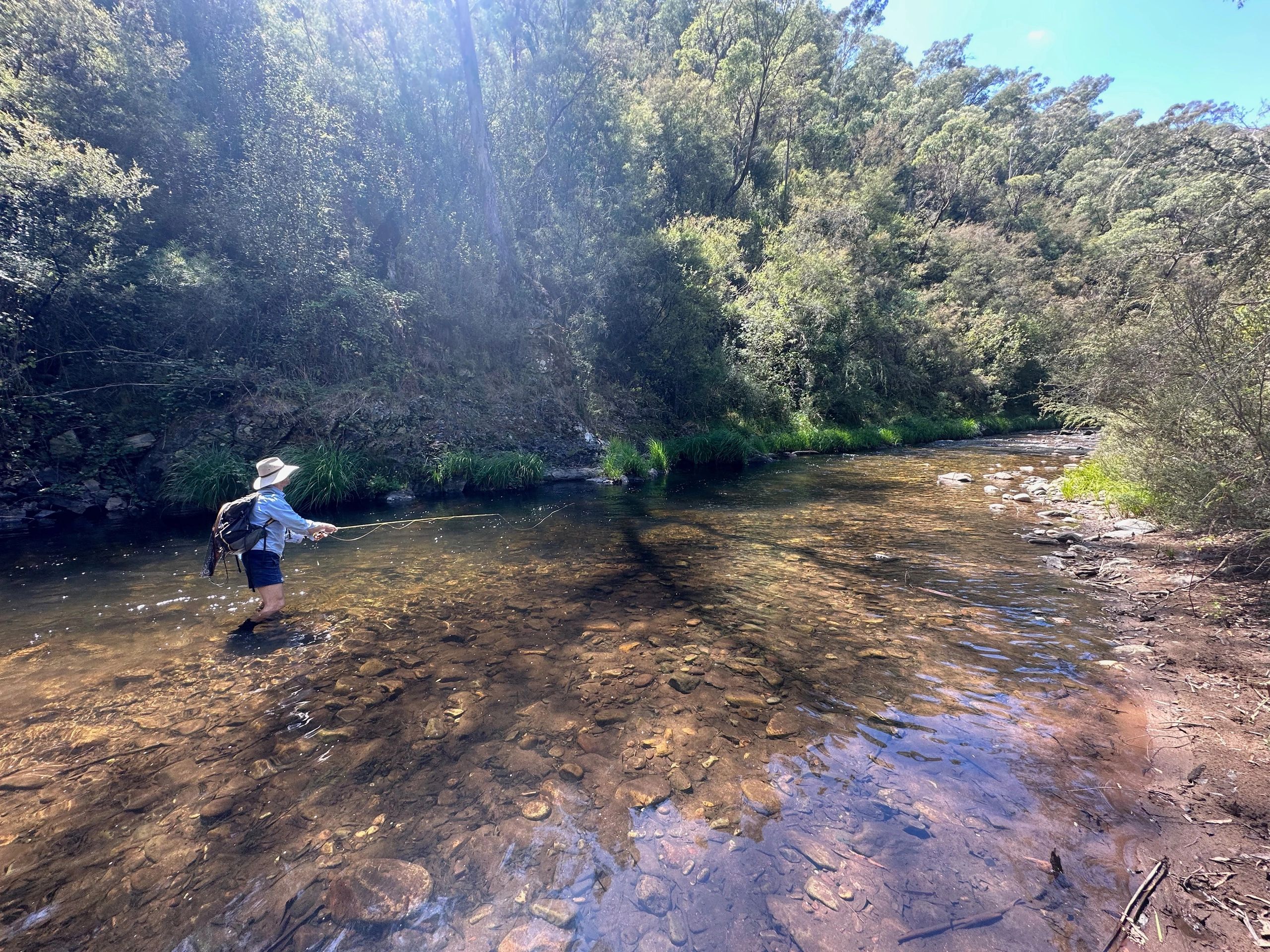 Exploring the Jewel of Victoria's High Country: The Howqua River