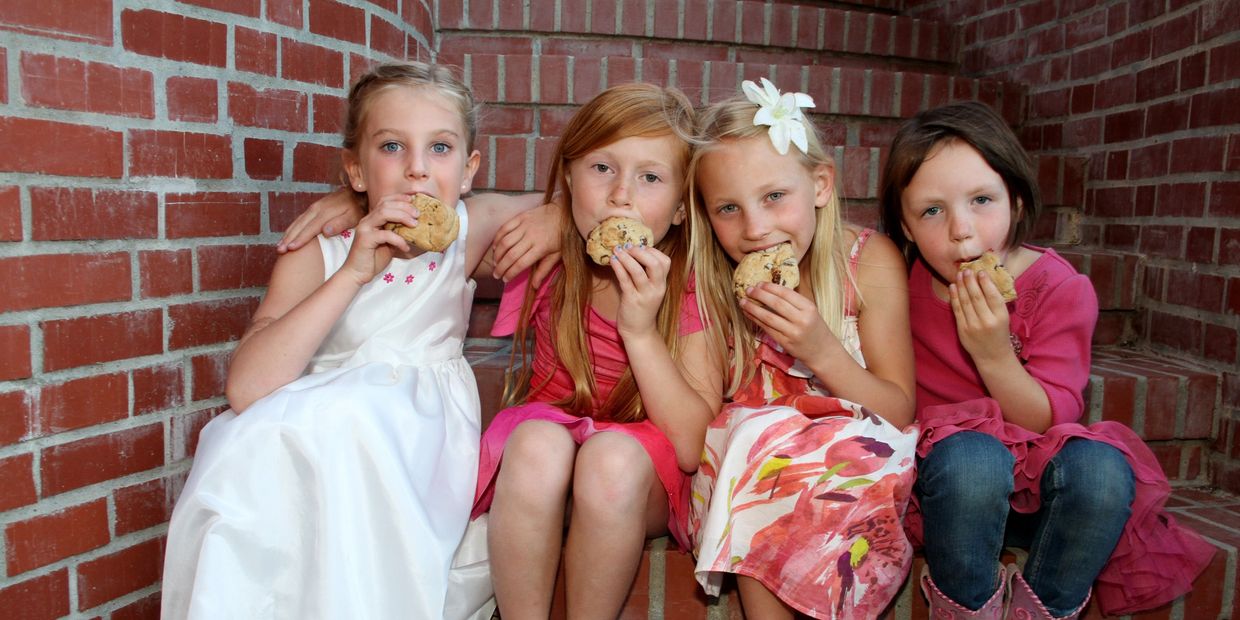 Gallery | Castle Noz