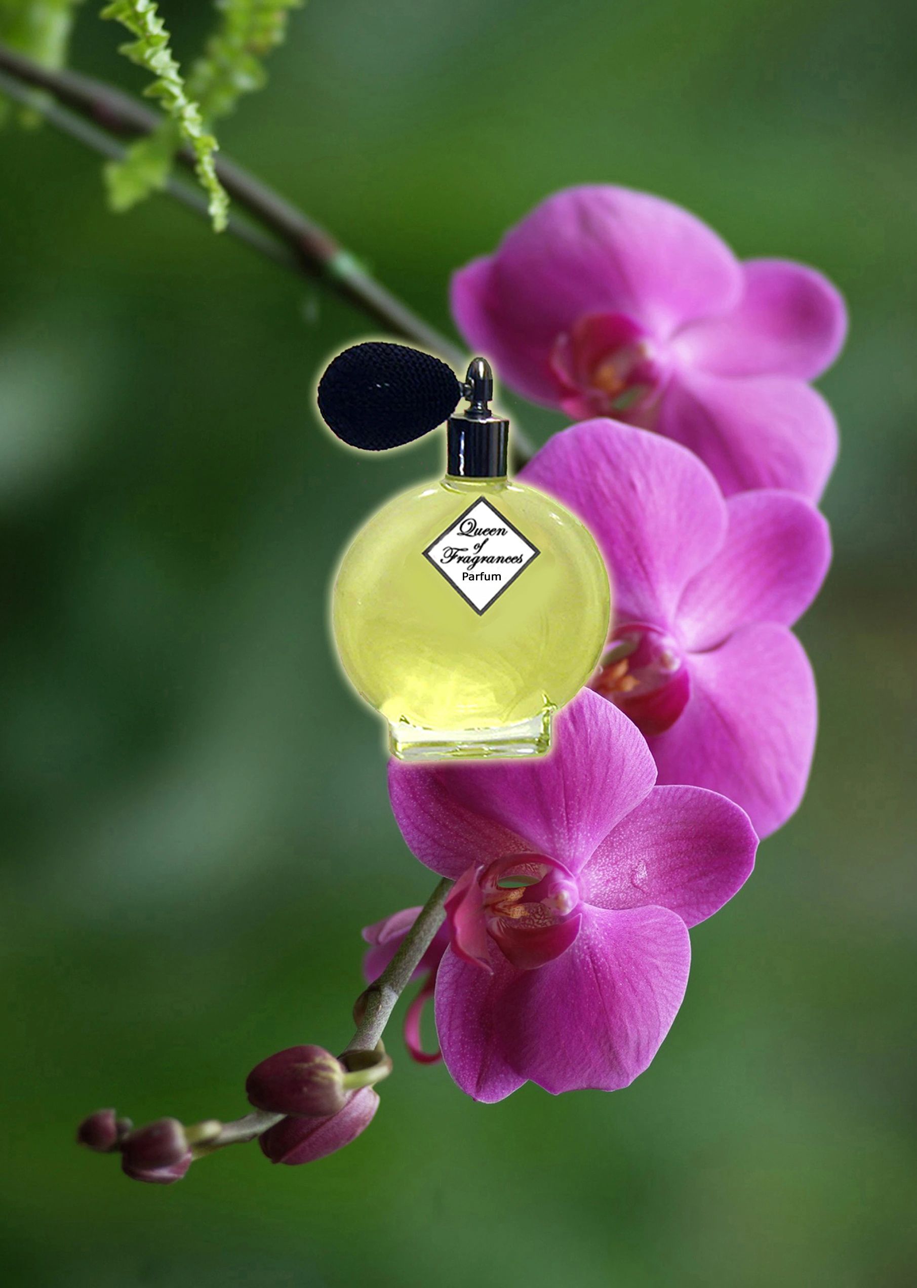 The Original QUEEN OF FRAGRANCES Official Website