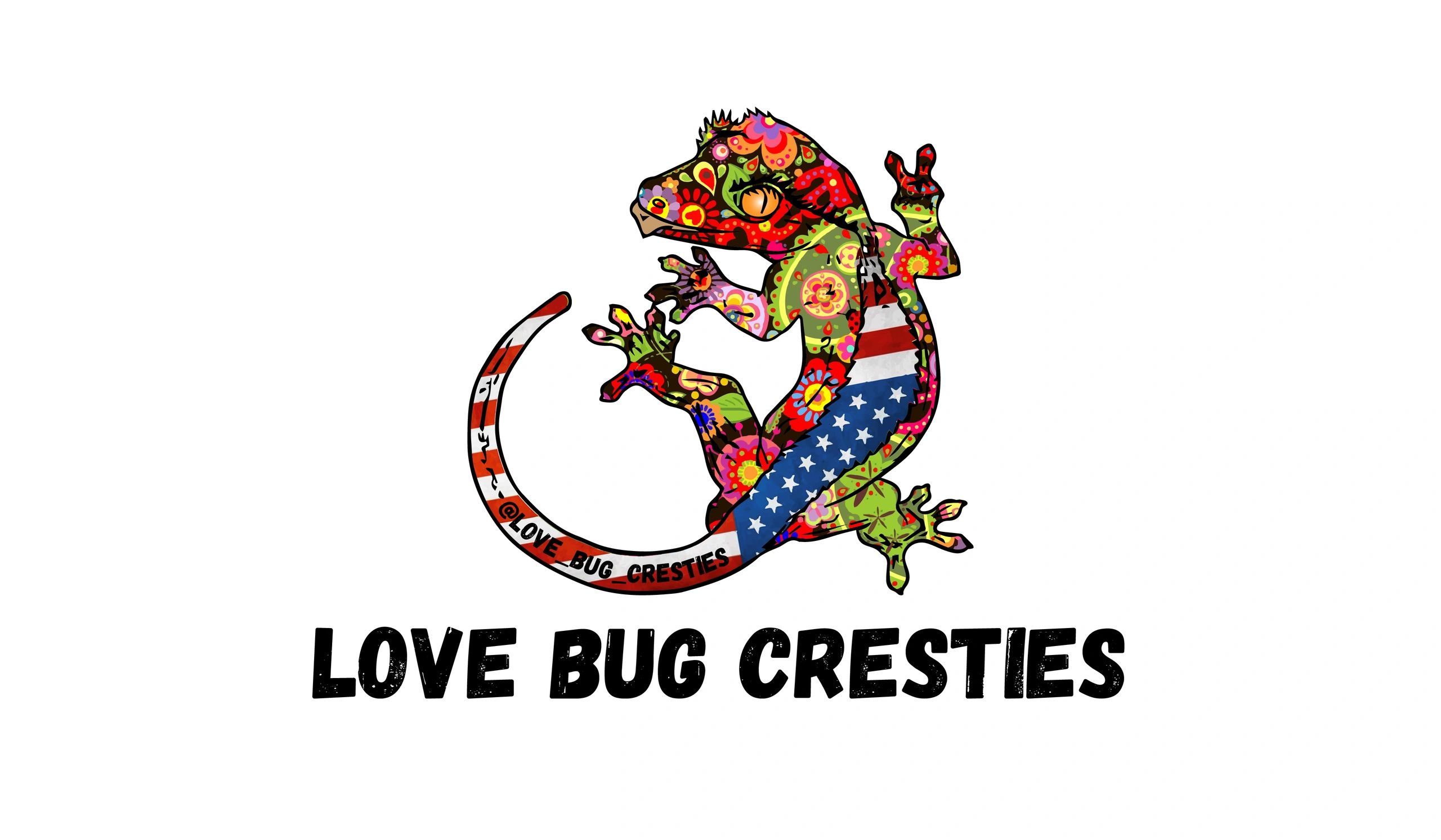 Crested Gecko - Love Bug Cresties