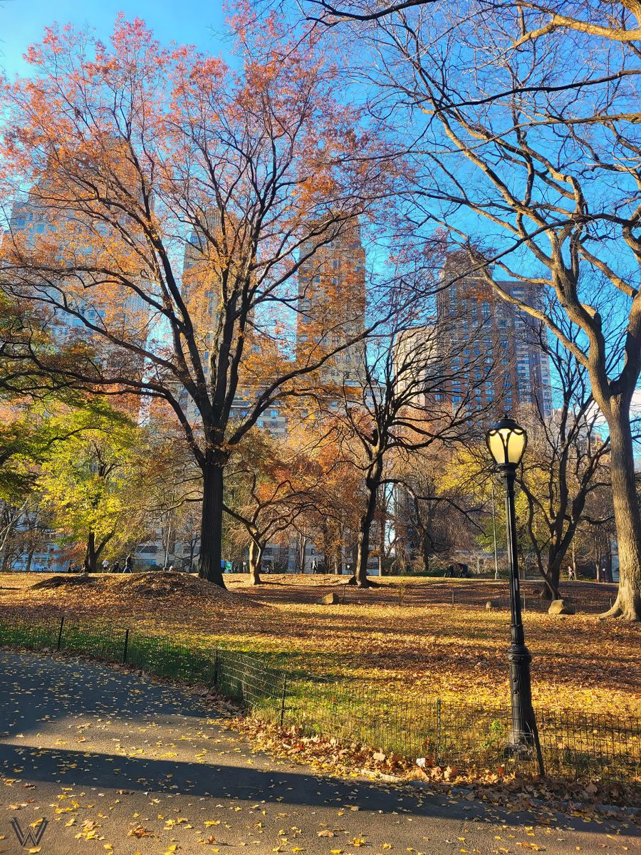 A Walk in Central Park Two