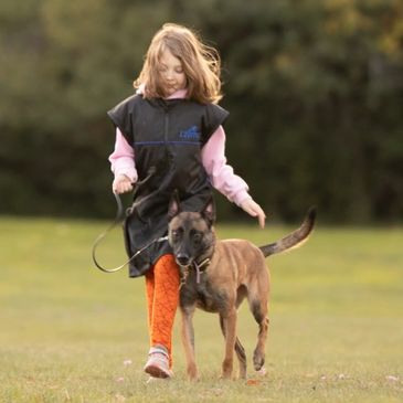 North Country Canine LLC - Dog Training, Dog Sports