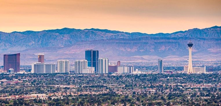 Psocids and Springtails