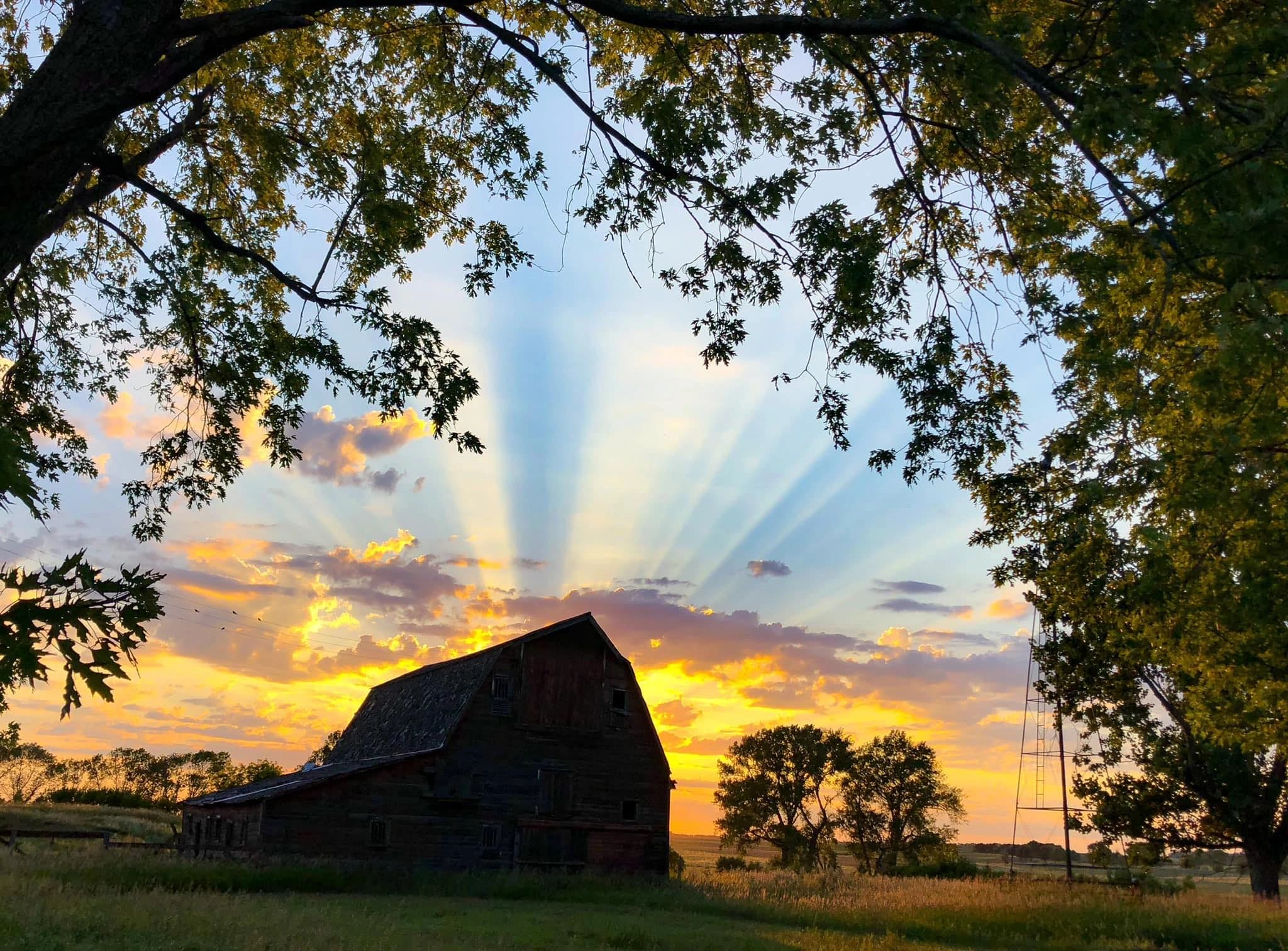 Reference Sires | Namken Red Angus