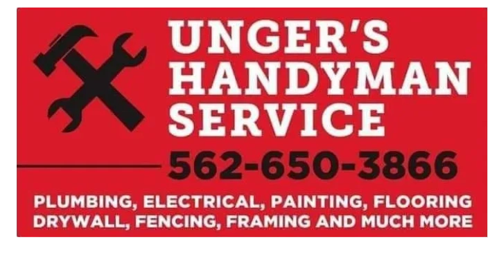 Professional Handyman Services Near Me